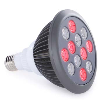 Hooga Red Light Therapy Review: Is Full Body Panel Worth It?